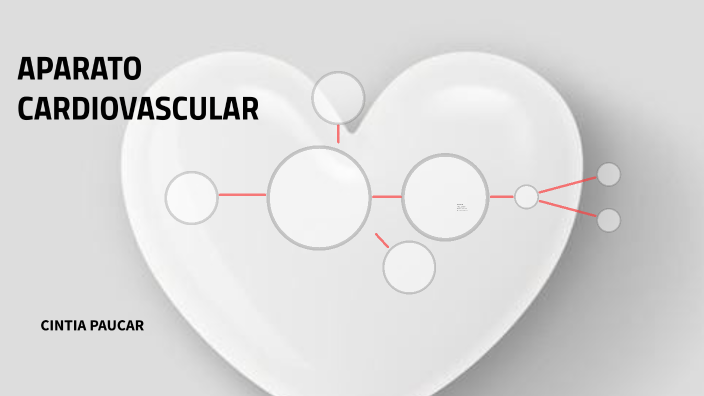 APARATO CARDIOVASCULAR by Cintia Paucar on Prezi