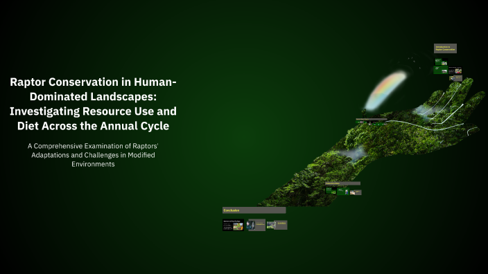 Raptor Conservation in Human-Dominated Landscapes: Investigating ...