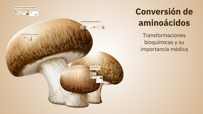 Conversión de aminoácidos by Serrano Rodriguez Fausto Ignacio on Prezi