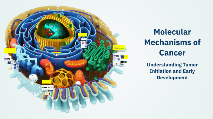 Molecular Mechanisms of Cancer by Mina Badi on Prezi