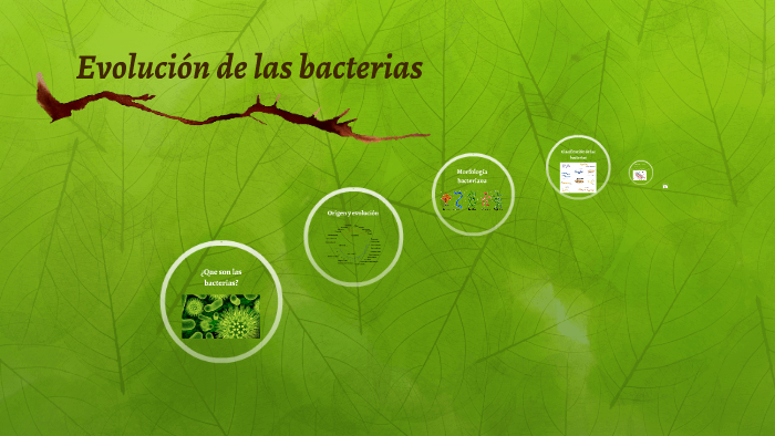 Evolución de las bacterias by daniela martinez perez on Prezi
