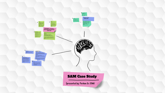 SAM Case Study by Farhan Siddiqui on Prezi