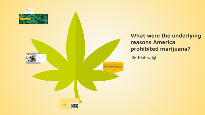 The Roots of Marijuana Prohibition in America by niah wright on Prezi
