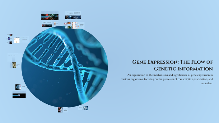 Gene Expression: The Flow of Genetic Information by S H on Prezi