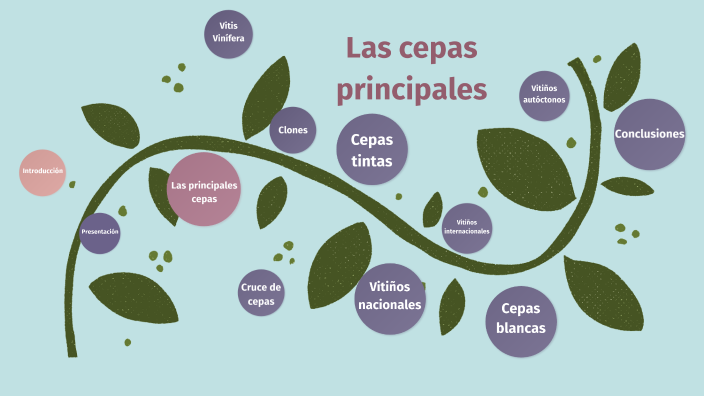 Prezi: cepas principales by Johana Bazalar on Prezi