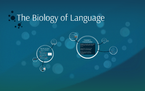 The Biology of Language by Katherine Markgraf on Prezi