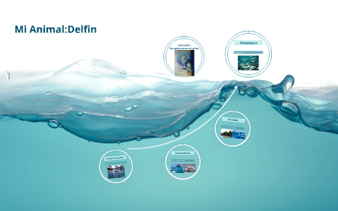 Mi Animal:Delfin by Emily Sennett on Prezi