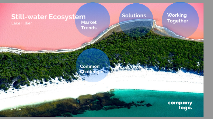 Stillwater Ecosystem by Tom Earle on Prezi