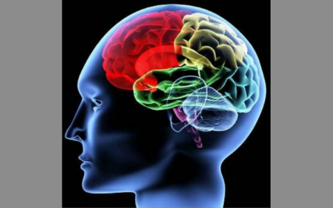 Apraxias by asad ehtisham on Prezi