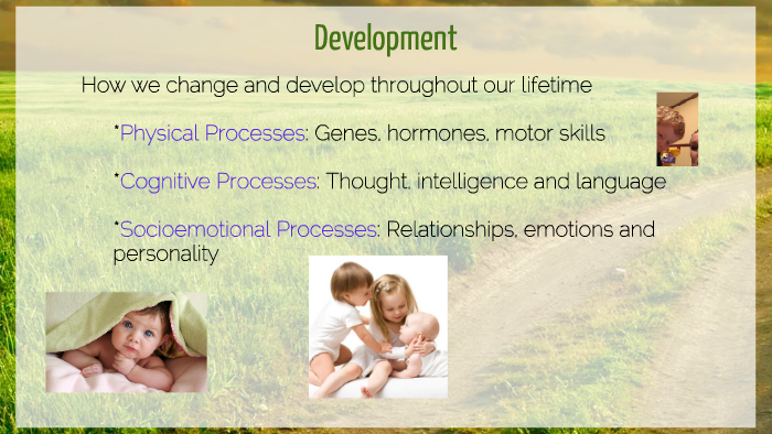 Human Development by Lisa Cady on Prezi