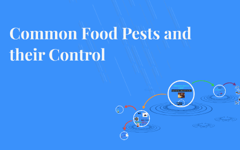 Common Food Pests and their Control by on Prezi
