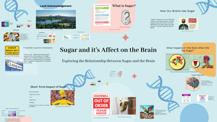 Sugar and it's Affect on the Brain by Jen Rawlins on Prezi