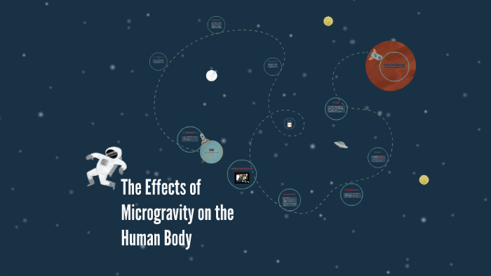 The Effects of Microgravity on the Human Body by Erika Wolff on Prezi