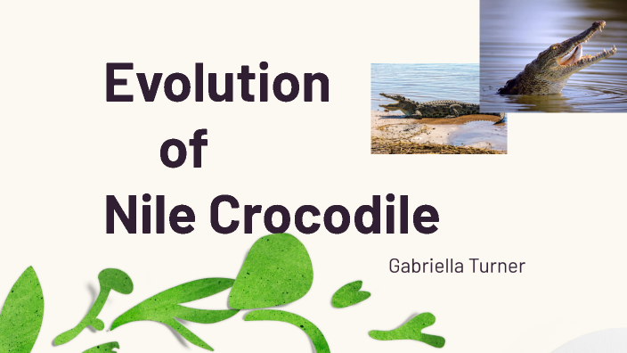 Crocodile Presentation by Gabriella Turner on Prezi