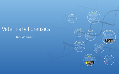 Veterinary Forensics by Evin Toker on Prezi