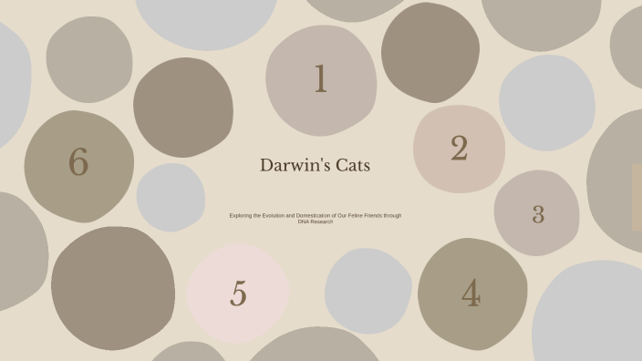 Darwin's Cats by jj on Prezi