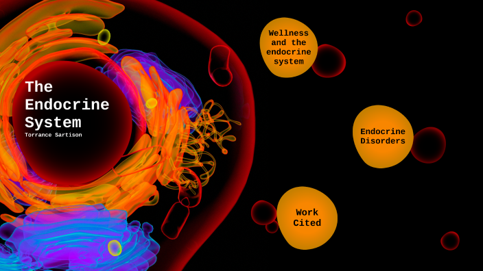 Endocrine System Mini Project by Torrance Sartison on Prezi