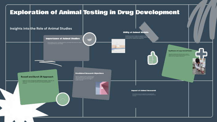 Exploration of Animal Testing in Drug Development by Taurean Oram on Prezi