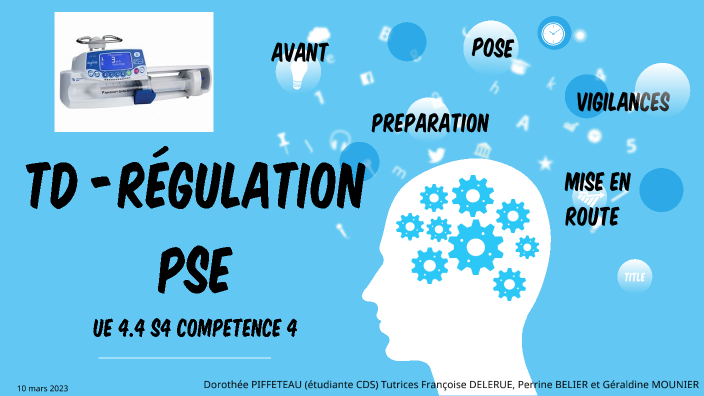 td regulation pse by dorothée piffeteau on Prezi