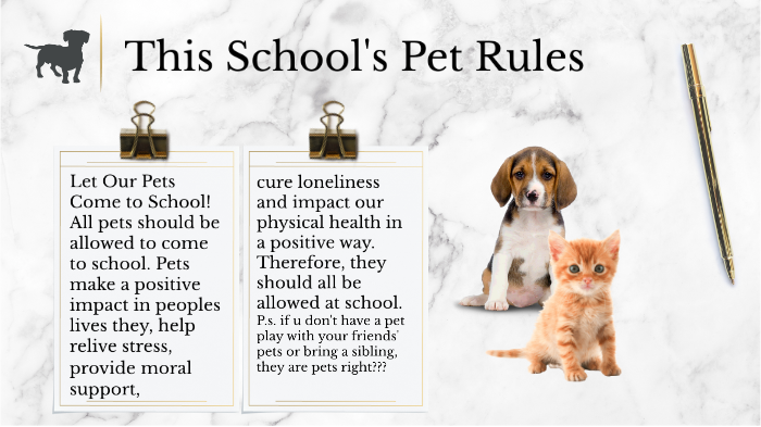 Pets at School by Rachel M on Prezi
