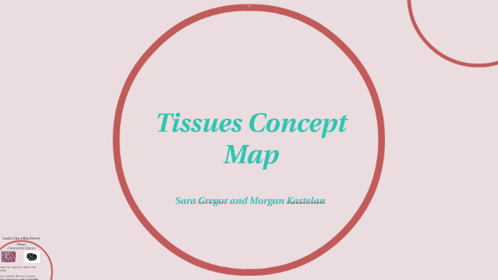 Tissues Concept Map by Sara Gregor on Prezi