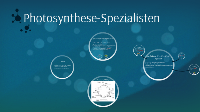 Photosynthese-Spezialisten by Julia Sohl on Prezi