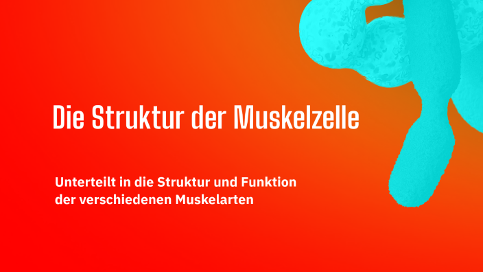 Die Struktur der Muskelzelle by Ben König on Prezi