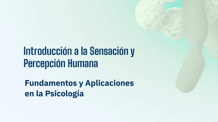 Introducción a la Sensación y Percepción Humana by David Rolon on Prezi