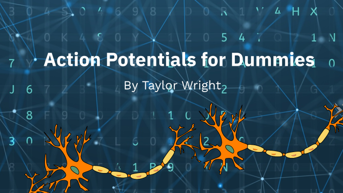 Action Potentials for Dummies by Taylor Wright-Brezee on Prezi