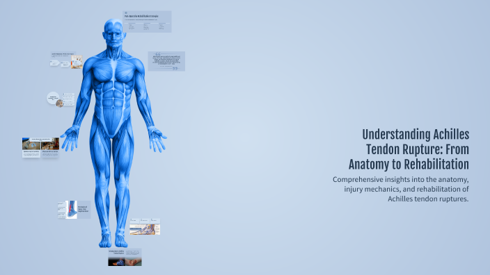 Understanding Achilles Tendon Rupture: From Anatomy to Rehabilitation ...