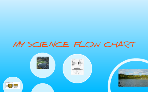 Science Flow Chart by FLY GUY on Prezi