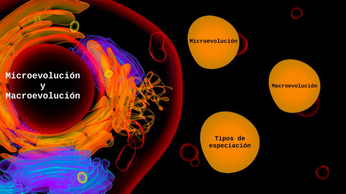 Micro y macroevolución by Fernando Hernández on Prezi