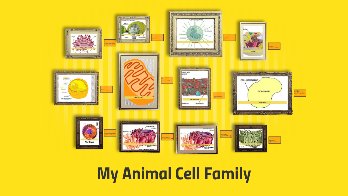 My Animal Cell Family by Abigail Livengood on Prezi