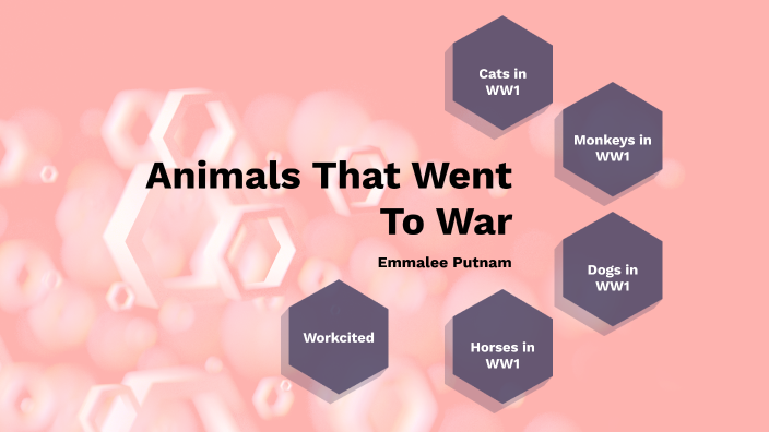 Animals in WW1 by Emmalee Putnam on Prezi