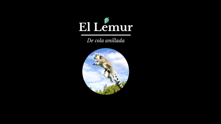 El lemur by Hector Alejandro Rojas coronado on Prezi