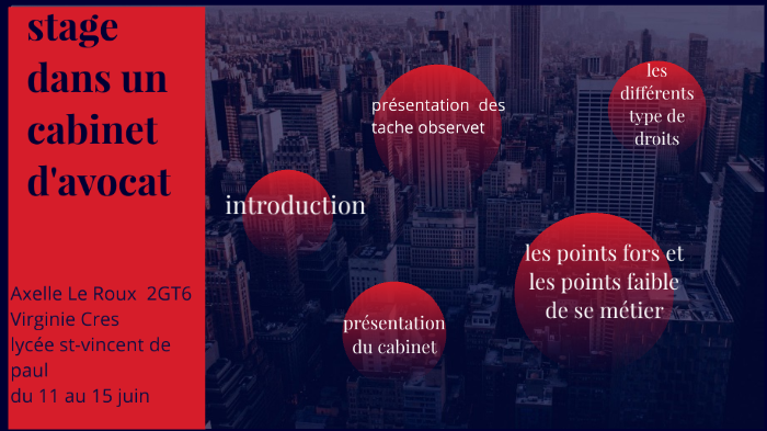 diapo stage 2d by axelle leroux on Prezi