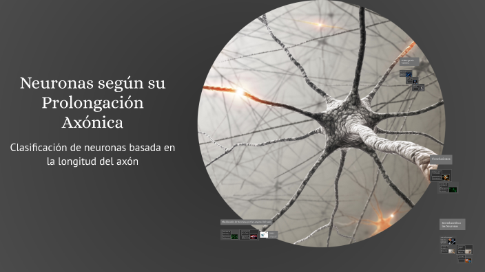 Neuronas según su Prolongación Axónica by Samantha Ramallo on Prezi