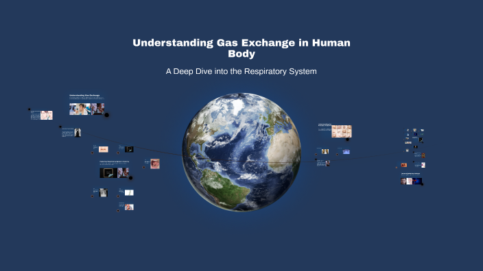 Understanding Gas Exchange in Human Body by Vincent Mai on Prezi