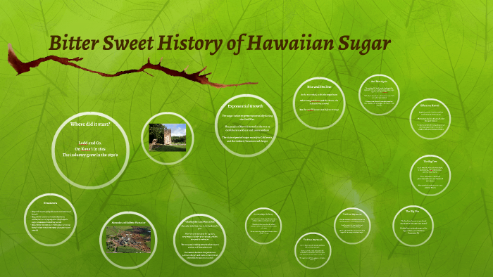 Bitter Sweet History of Hawaiian Sugar by on Prezi