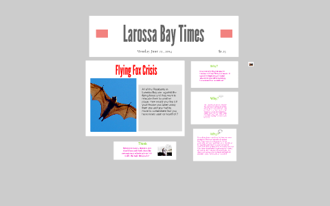 Larossa Bay Times by Maeghan S on Prezi