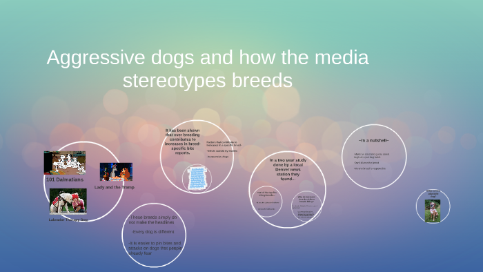 Aggressive dogs and how the media stereotypes breeds by Kayla Dubats on ...