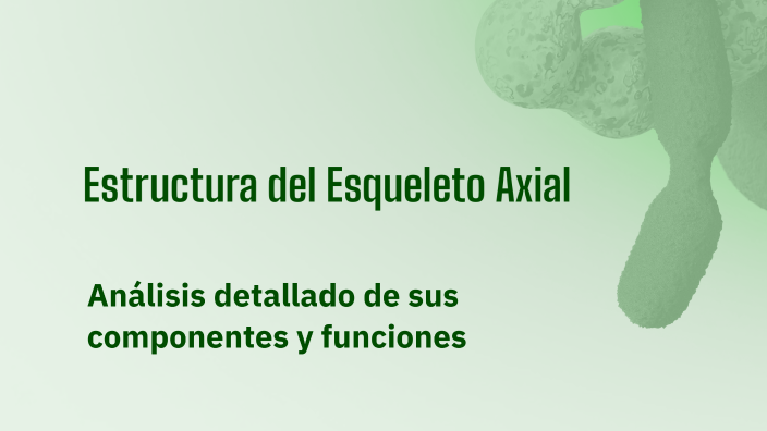 Estructura del Esqueleto Axial by Gustavo Alejandro Llanas Alfonso on Prezi