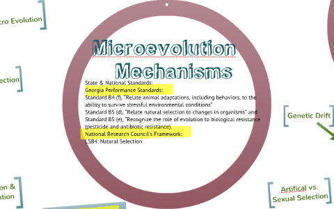 Micro/Macro Evolution Unit by Karen Lionberger on Prezi