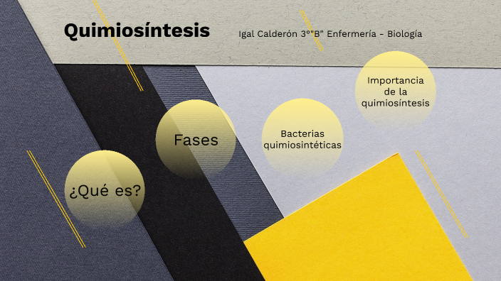 Quimiosíntesis by Igal Calderón on Prezi