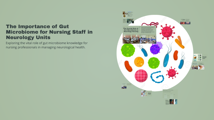 The Importance of Gut Microbiome for Nursing Staff in Neurology Units ...
