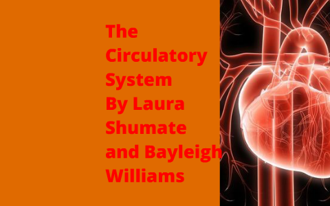 Circulatory System by Laura Shumate on Prezi