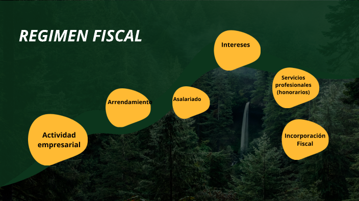 REGIMEN FISCAL by Karina Hernández on Prezi