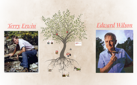 Biografía comparativa entre Edward Wilson y Terry Erwin by Alejandra ...