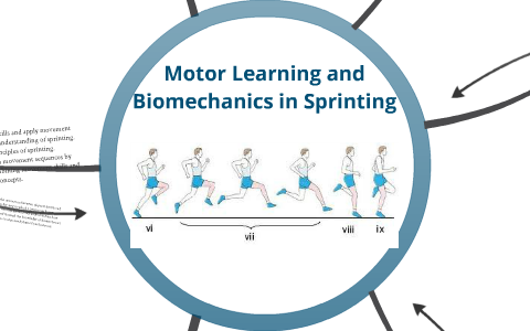 Motor Learning and Biomechanics in Sport by Maria Baylon on Prezi