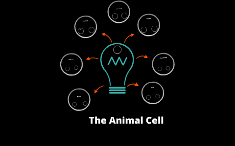 Cells by Victor Gitau on Prezi